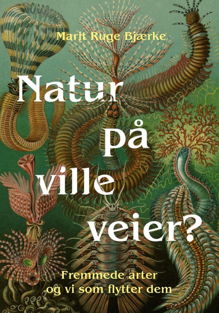 Det tredje riket - Dreyers Forlag